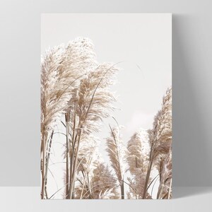 Pampas Grass Art Print III. Boho Modern Wall Art. Botanical Nature ...