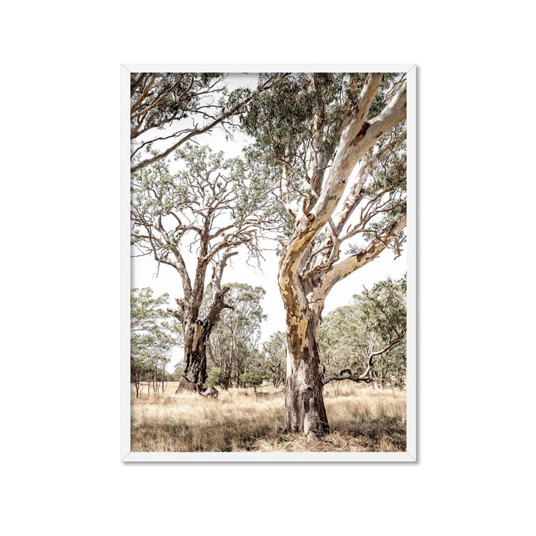 Australian Outback Landscape Art Print Gumtree Iron Bark & - Etsy