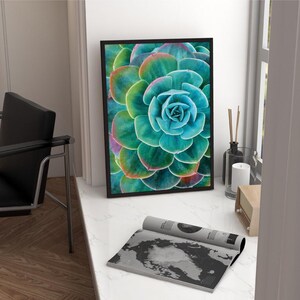 Succulent Print Poster. Cactus Art Print. Green Wall Art Home Interior ...
