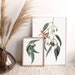 Eucalyptus Flower Art Print. Gum Leaves & Gum Nuts Art Print. Modern ...