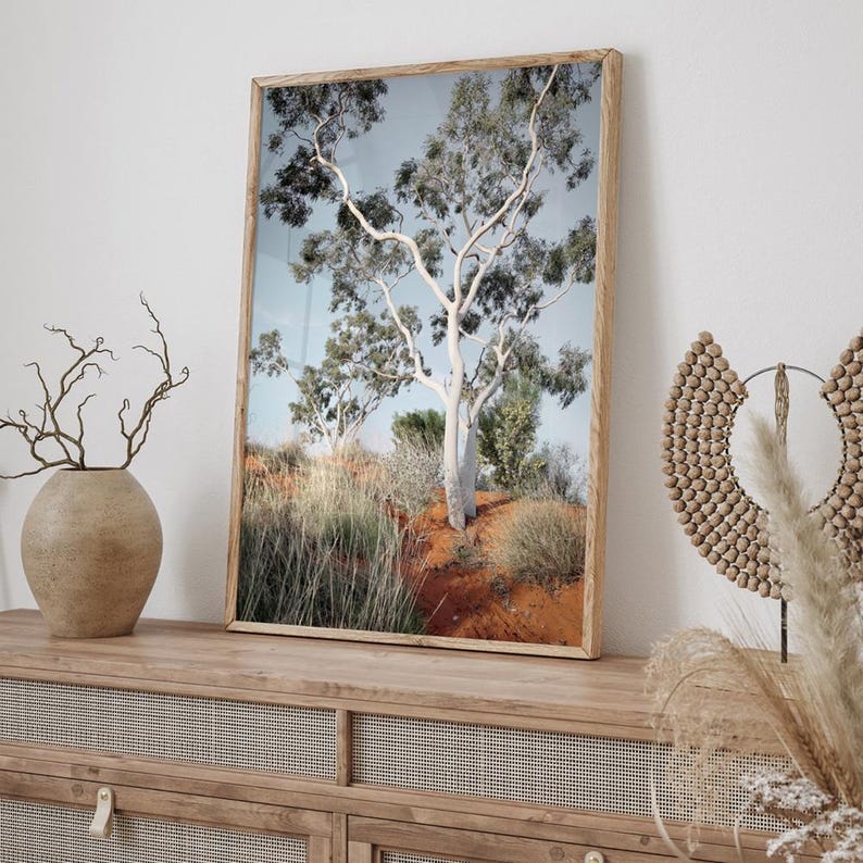 Australian Gumtree Wall Art Print or Canvas. White Ghost Gum Eucalyptus ...