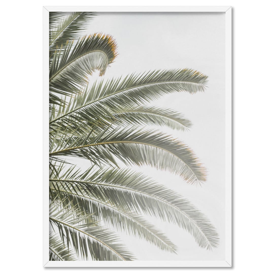 Palm Fronds Art Print. Palm Leaves in the Moroccan Desert, Catching the ...