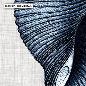 Scotch Bonnet Shell Poster Print. Navy Vintage Illustration on Linen ...