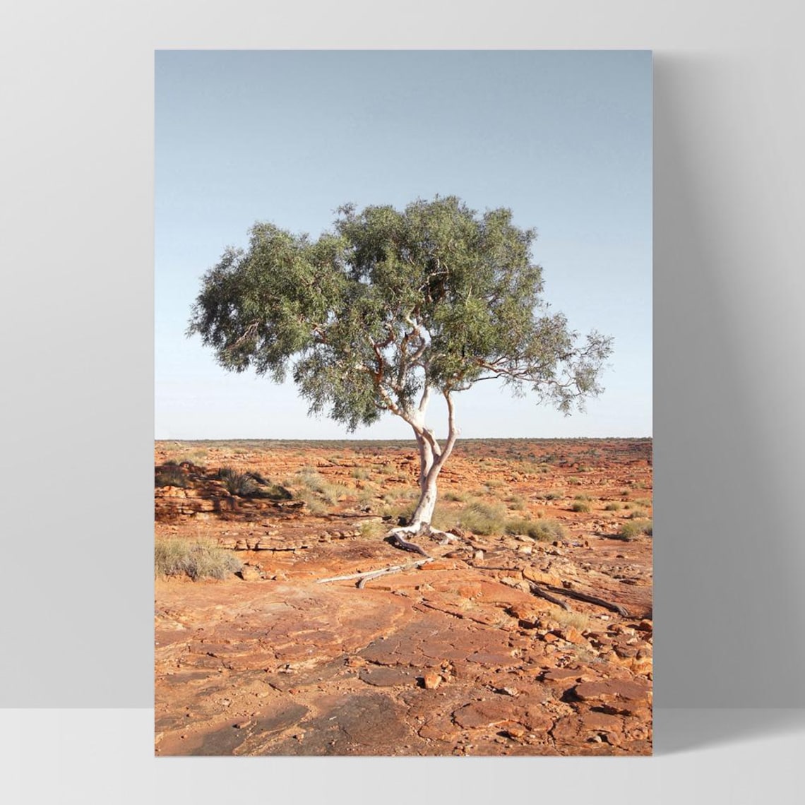 Gum Tree Print Australian Outback Poster. Australian Desert Red Earth ...