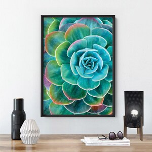 Succulent Print Poster. Cactus Art Print. Green Wall Art Home Interior ...