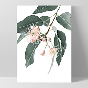 Flowering Eucalyptus Art Print. Gum Leaves Wall Art. Australian Native ...
