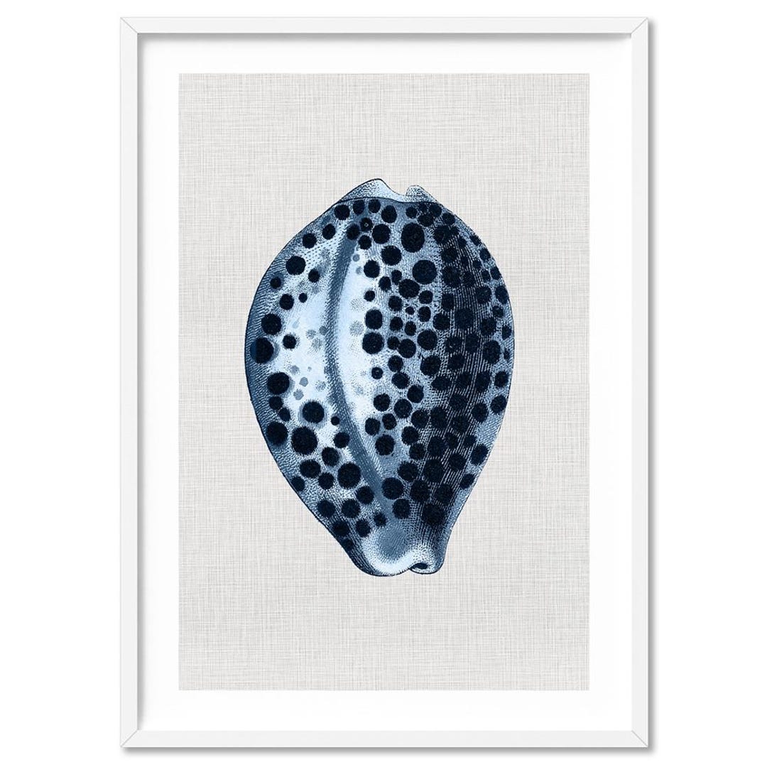 Sea Shell Wall Art. Paua Shell Printed Poster. Navy Sketch Style on ...