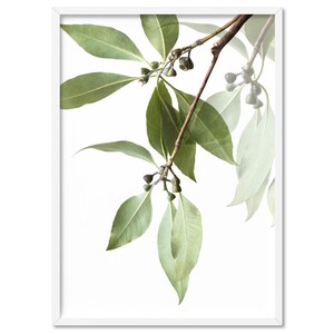 Australian Eucalyptus Gum Leaves I Art Print. Poster or Canvas. Native ...