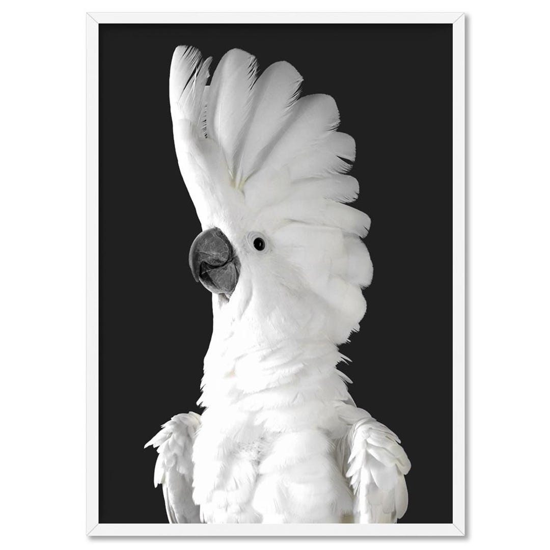 White Cockatoo on Charcoal Background Art Print. Monochrome Wall Art ...