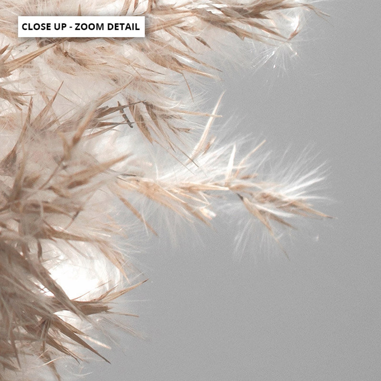 Pampas Grass Print. Ethereal Light II. Dry Grass Art Print. - Etsy