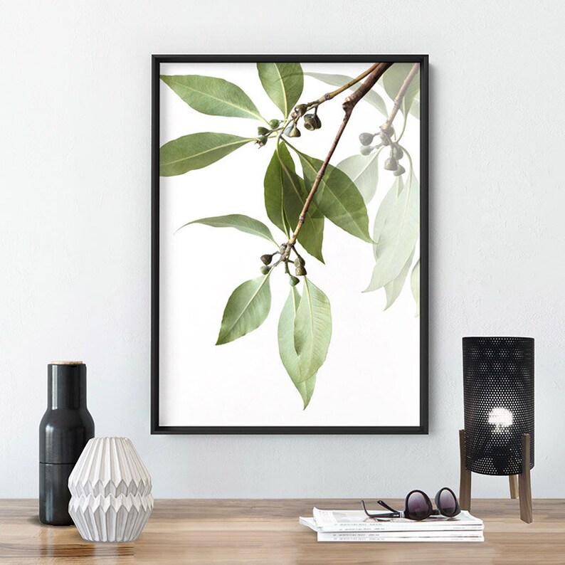 Australian Eucalyptus Gum Leaves I Art Print. Poster or - Etsy