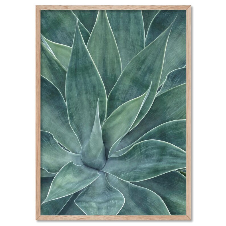 Succulent Print Poster. Agave Art Print. Green Home Decor Wall Art ...