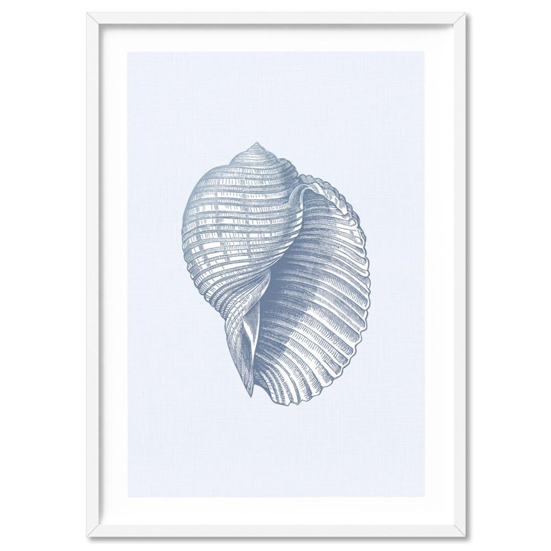 Sea Shell Coastal Poster. Hamptons Nautical Art Print. Scotch Bonnet ...