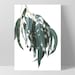 Australian Eucalyptus Gum Leaves Wall Art. Poster or Canvas. Native ...
