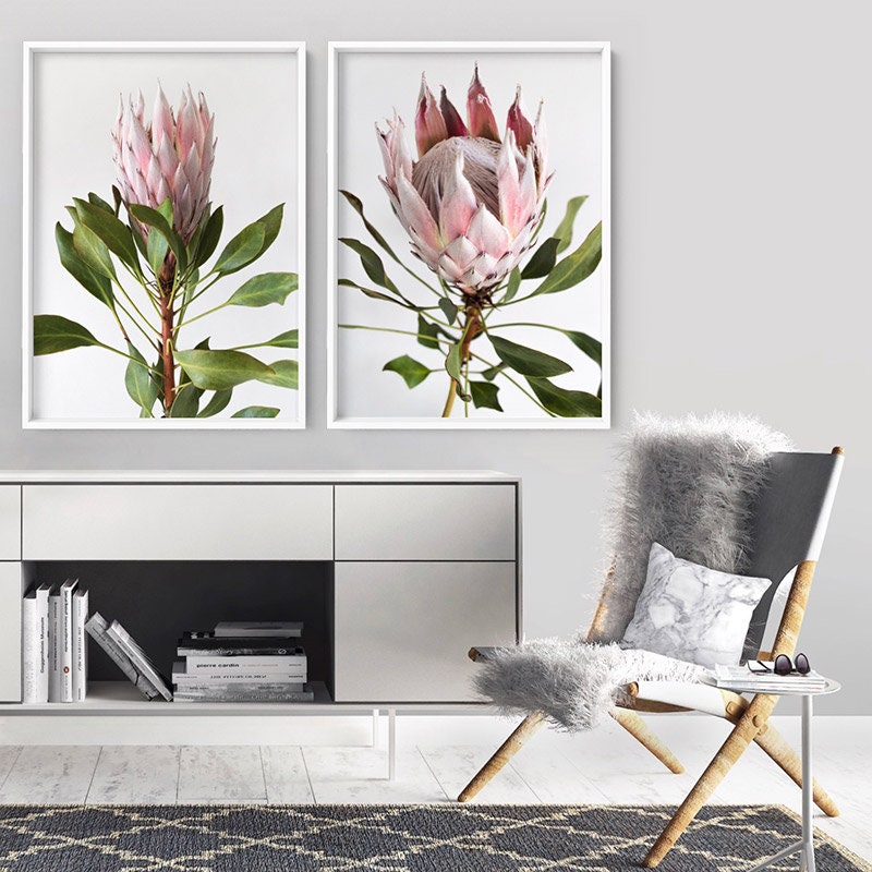 King Protea Wall Art Print Poster. Scandi Wall Art. Original - Etsy