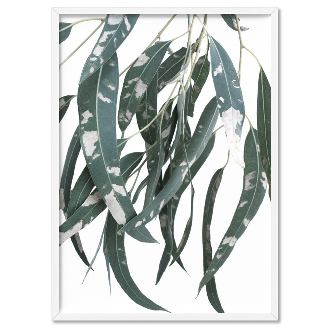 Australian Eucalyptus Gum Leaves Art Print. Poster or Canvas. Native ...