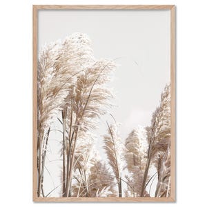 Pampas Grass Art Print III. Boho Modern Wall Art. Botanical Nature ...