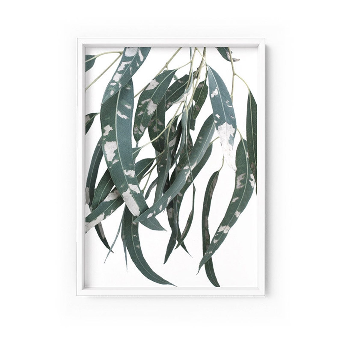 Australian Eucalyptus Gum Leaves Art Print. Poster or Canvas. - Etsy