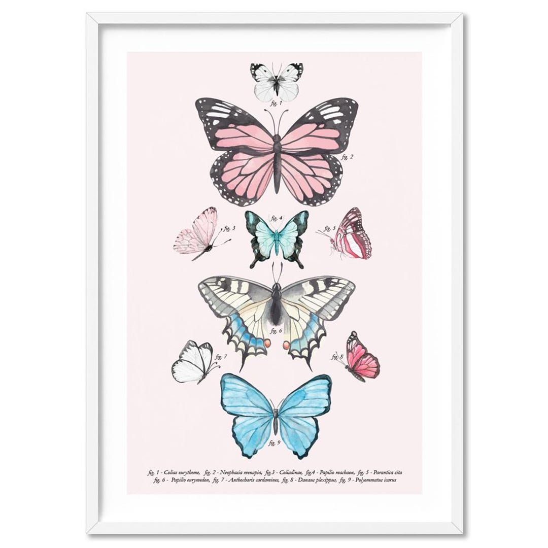 Butterfly Chart in Pretty Pastels. Girls Room Wall Art Decor. Butterfly ...