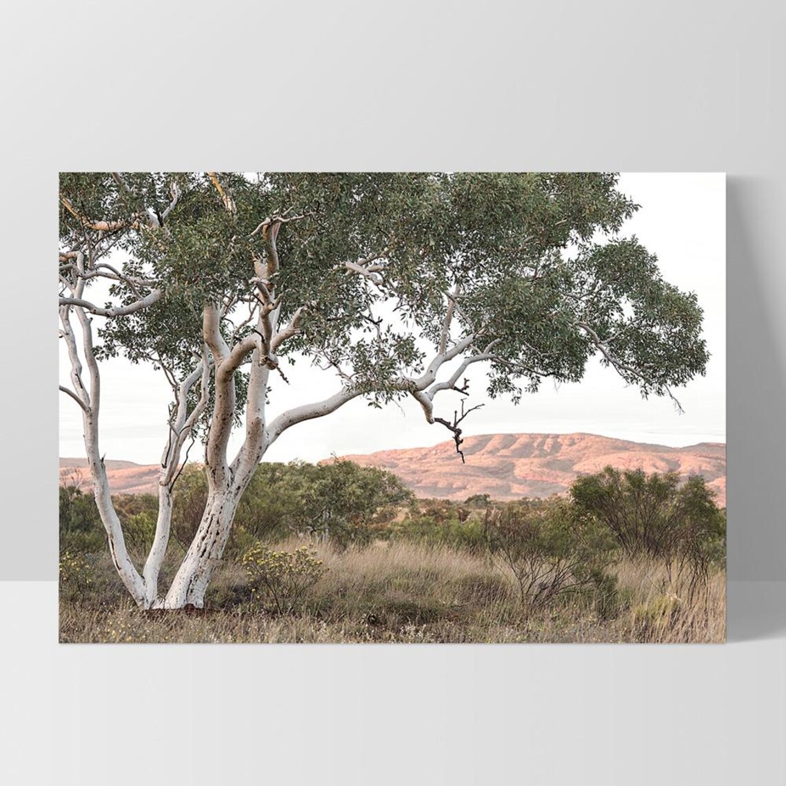 Australian Outback Wall Art, Red Earth Botanical Poster. Gumtree ...