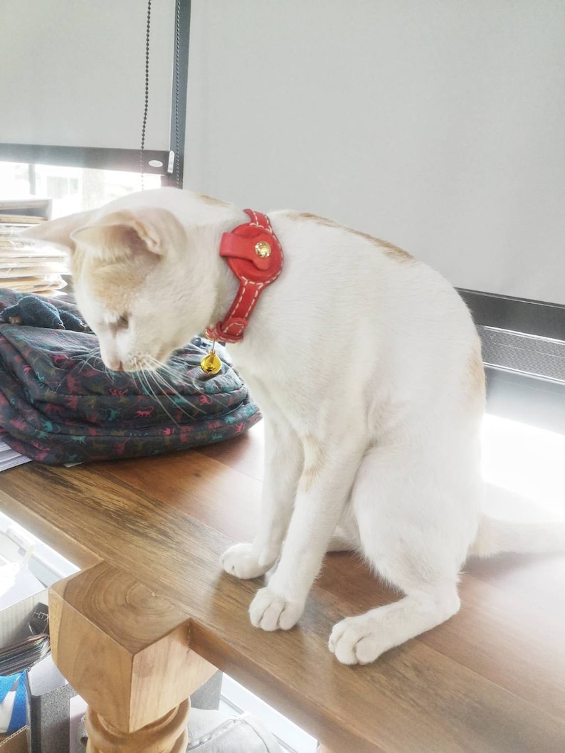 Samsung Galaxy Smart Tag2 Holder Breakaway Cat Collar - Galaxy Tag2 ...