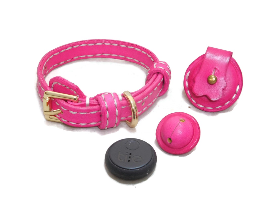 Dog Collar With TILE (sticker) GPS Tracker Holder and Bell - Etsy