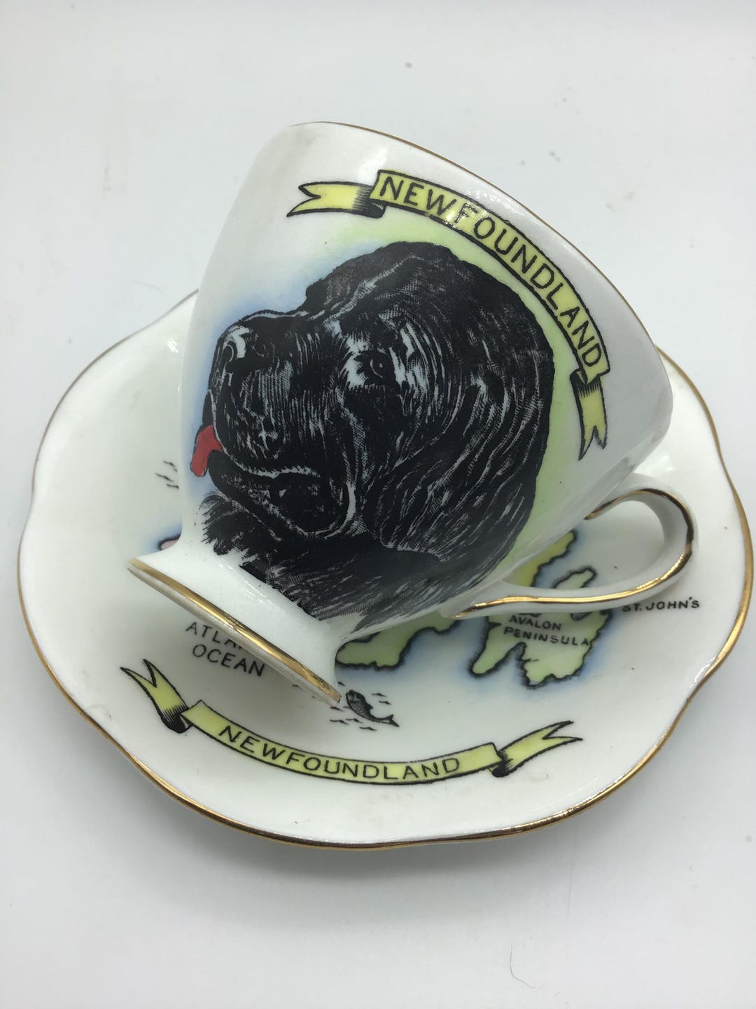 Newfoundland Dog Tea Cup and Saucer, Map of Newfoundland, Taylor & Kent ...
