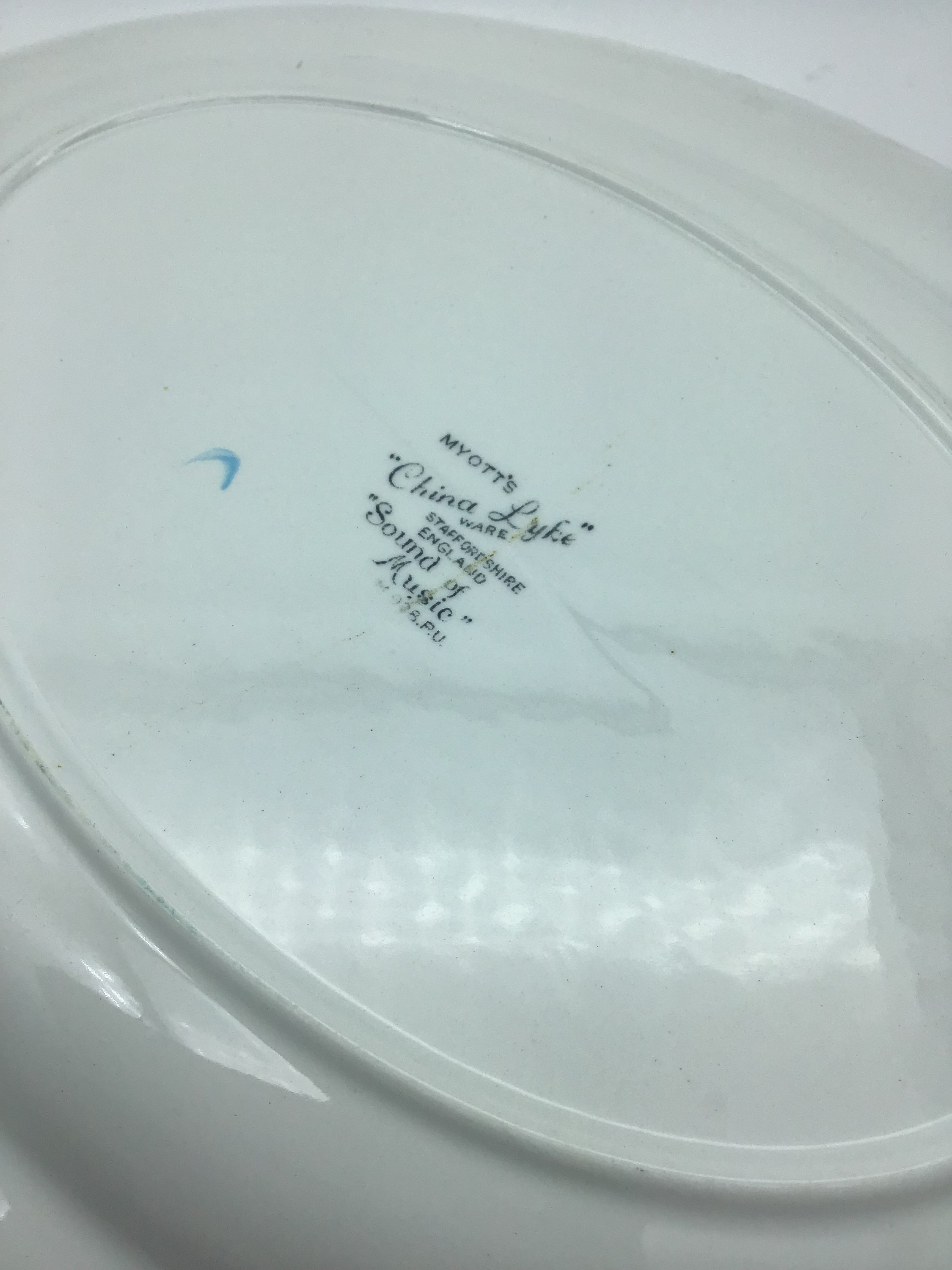 Myott China Lake Sound of Music Platter With Delicate Blue Flower and ...