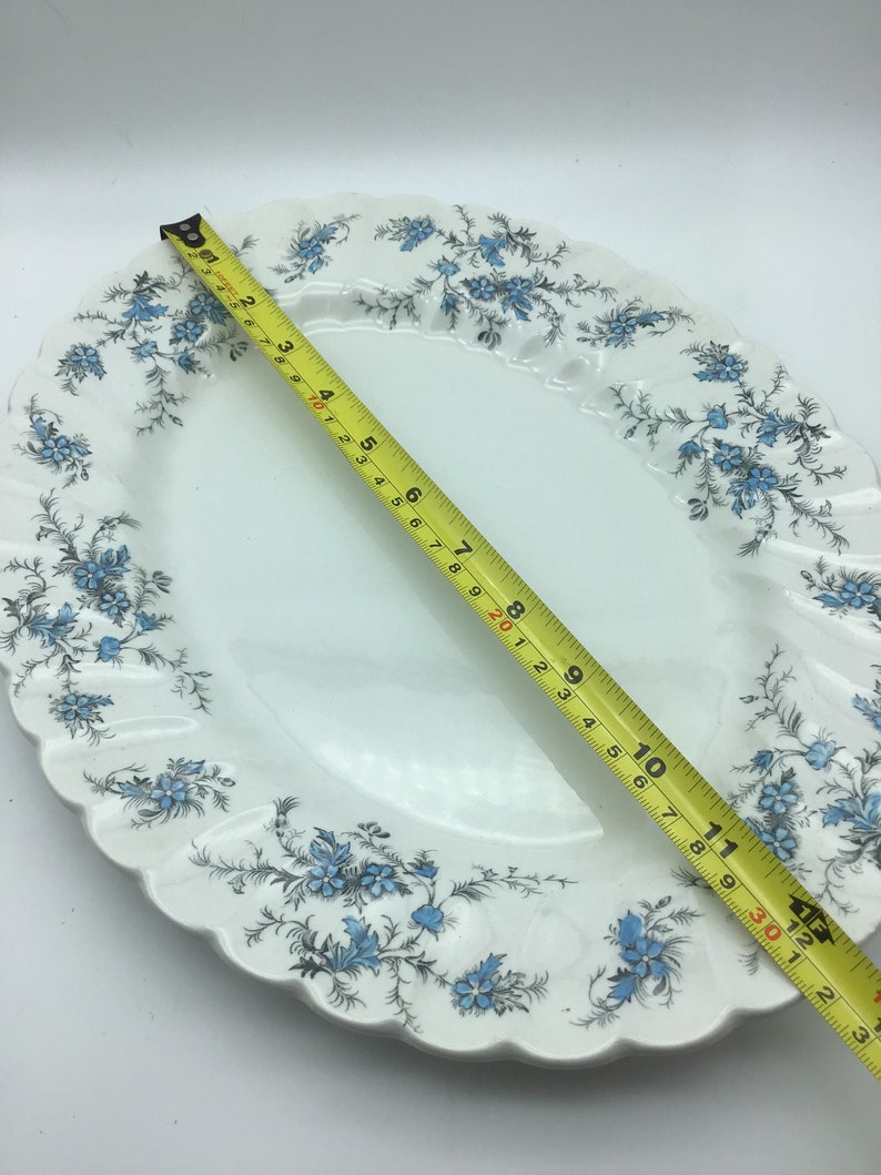 Myott China Lake Sound of Music Platter With Delicate Blue Flower and ...