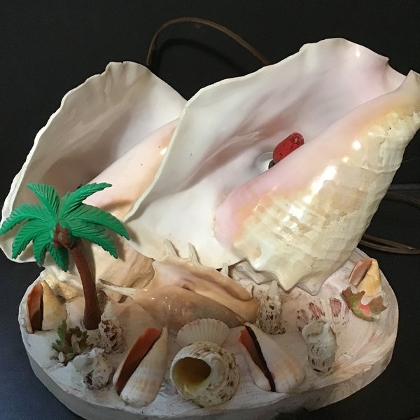 Shell Lamp - Etsy