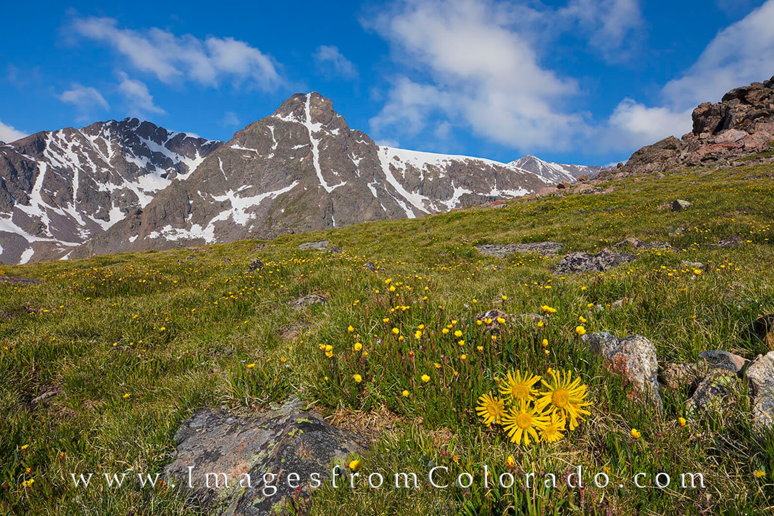 4 Ft Mt. Holy Cross Mountains. Colorado 14er Mountain Range - Etsy