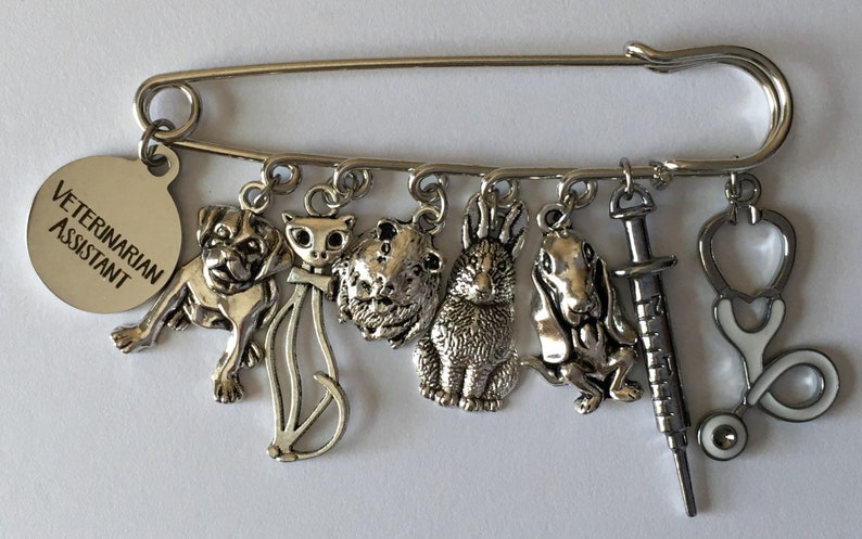 Veterinarian Vet Assistant Medical Pin Stainless Steel Laser - Etsy
