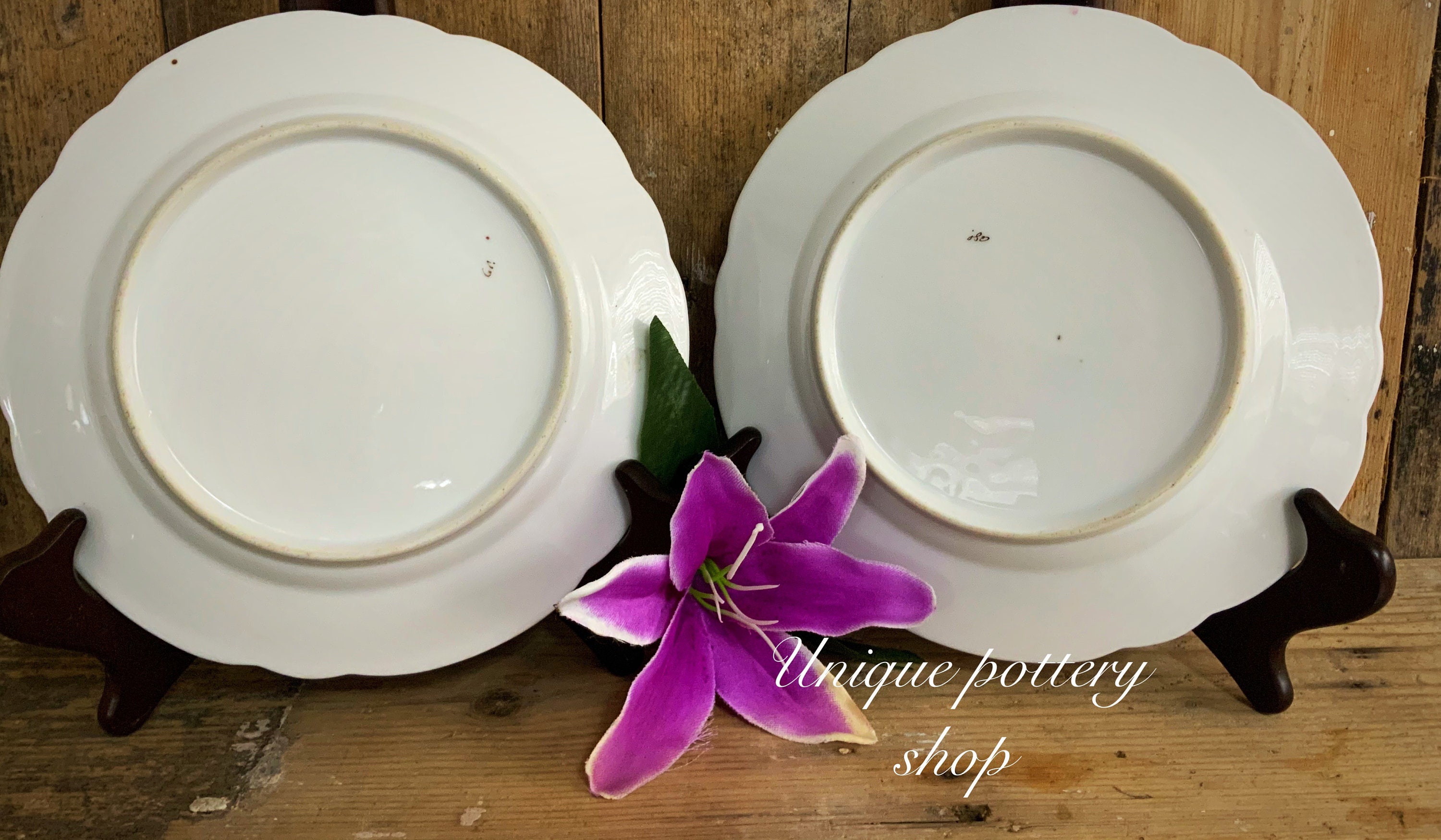 A Great Pair of 19th Century Porcelain Plates - Etsy