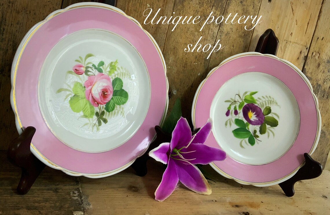 A Great Pair of 19th Century Porcelain Plates - Etsy