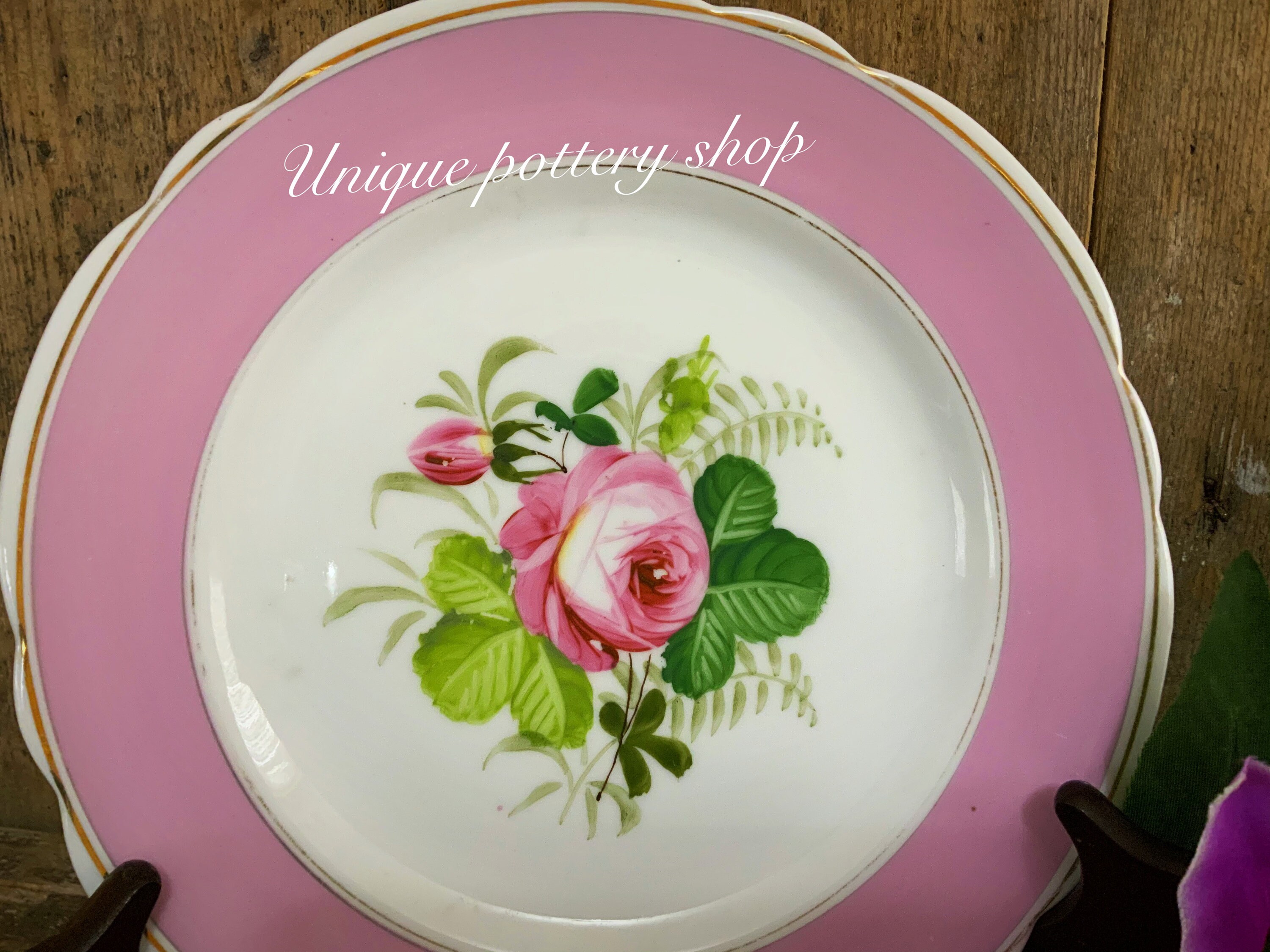 A Great Pair of 19th Century Porcelain Plates - Etsy