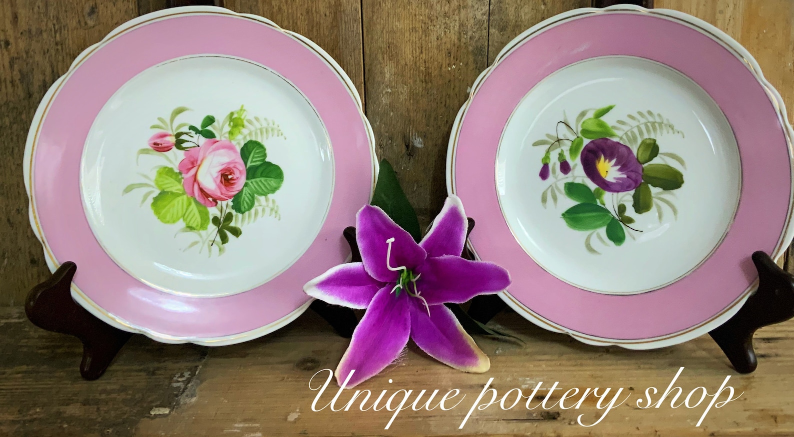 A Great Pair of 19th Century Porcelain Plates - Etsy