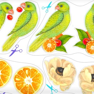 Green Parrot Cake Toppers, Parrot Cupcake Centrepiece, Tropical Forest ...