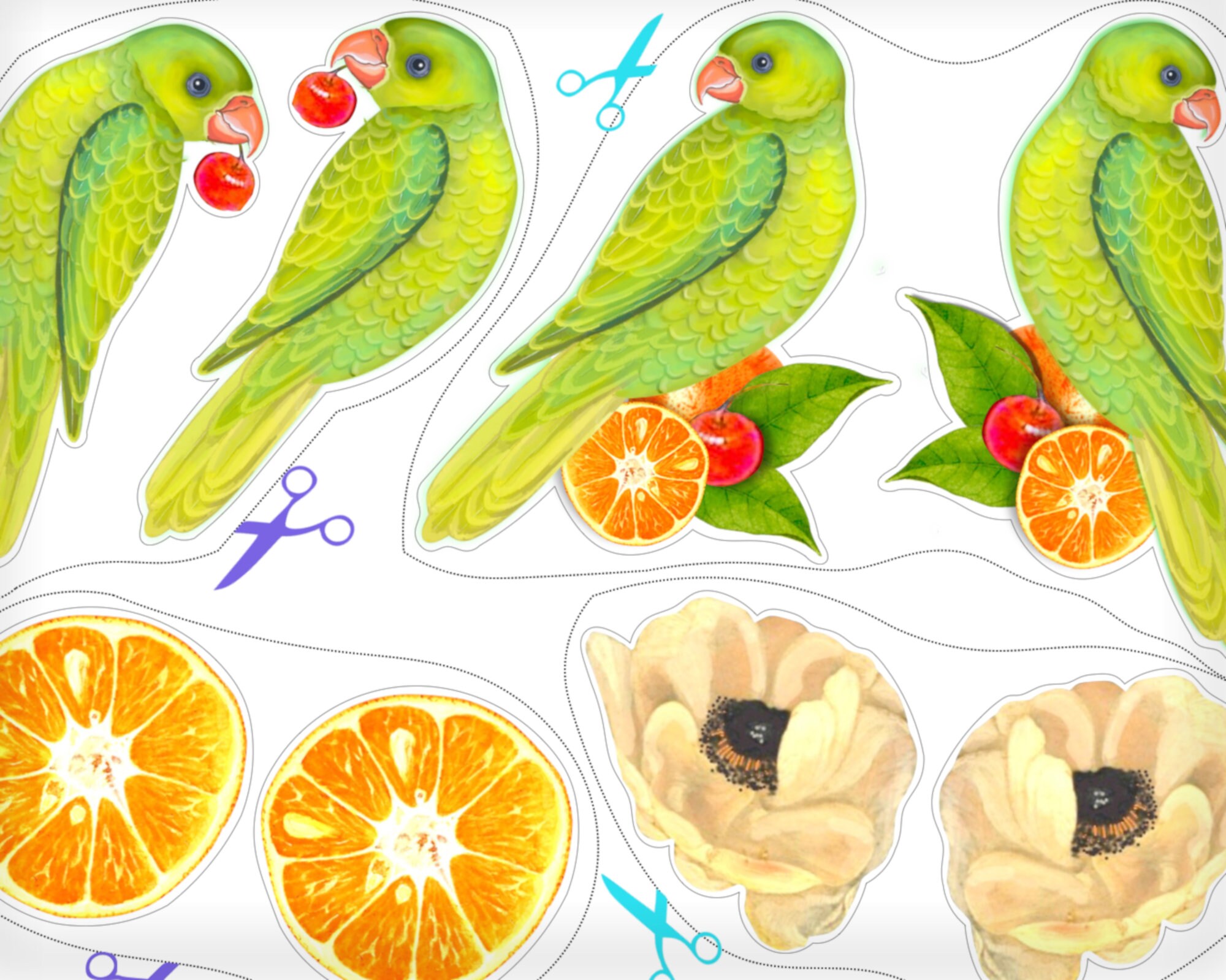 Green Parrot Cake Toppers Parrot Cupcake Centrepiece - Etsy