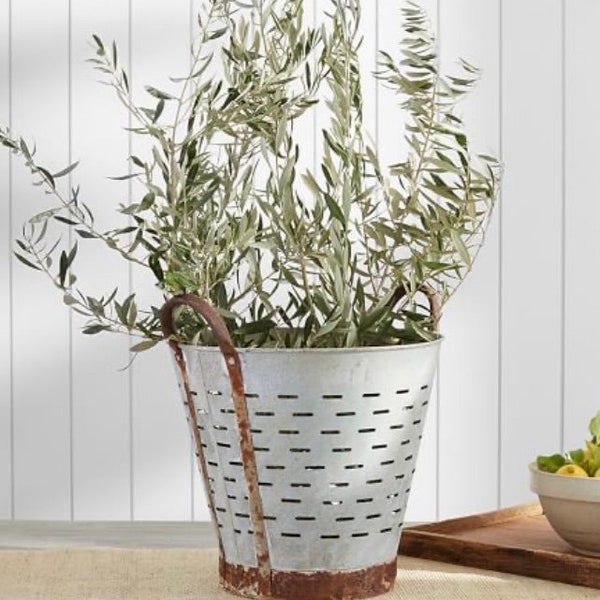 Olive Bucket - Etsy