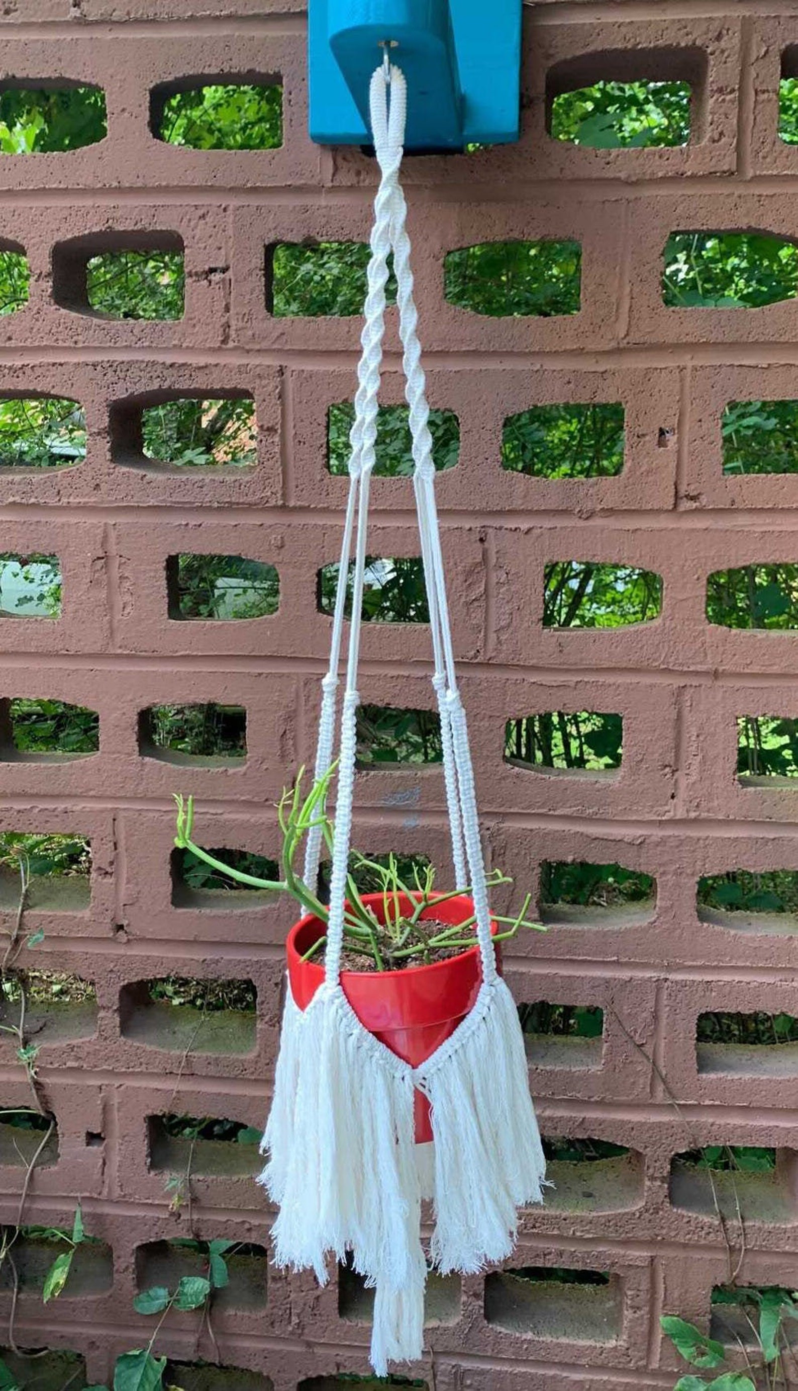 Extra long handmade macrame plant hanger with tassel fringe | Etsy