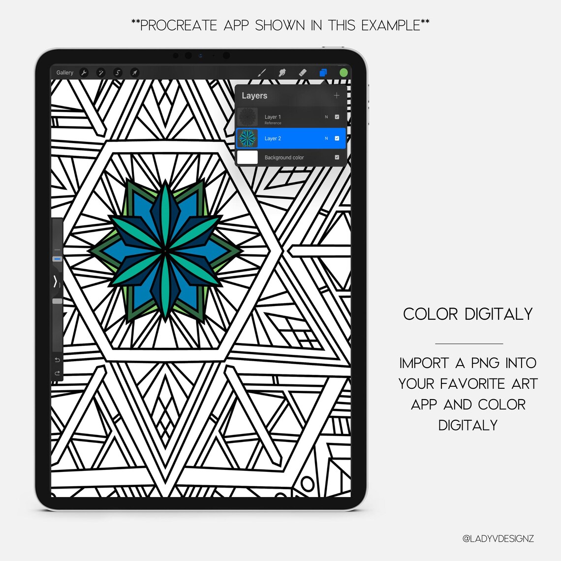 Geometric Snowflake Coloring Book, Printable Procreate Coloring Pages ...