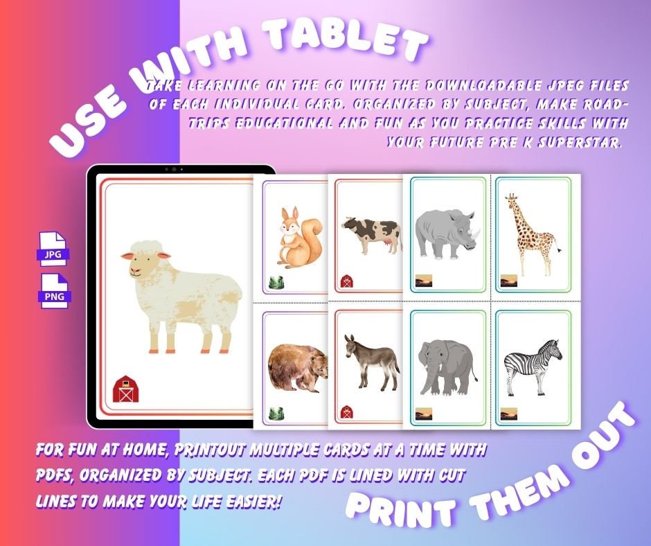 FLASHCARDS FOR KIDS | Animal Flashcards | Basic Animal Recognition ...