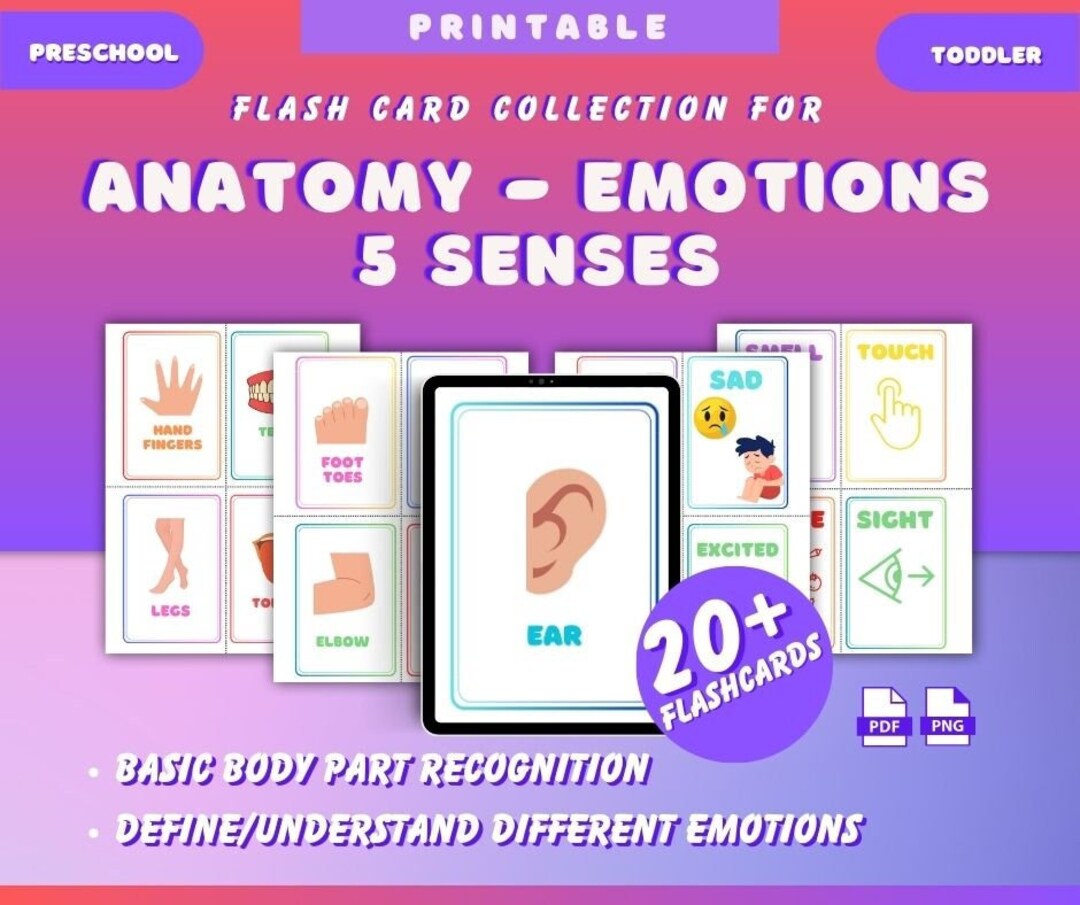 FLASHCARDS FOR KIDS | Body Parts | Emotions | Senses - Etsy