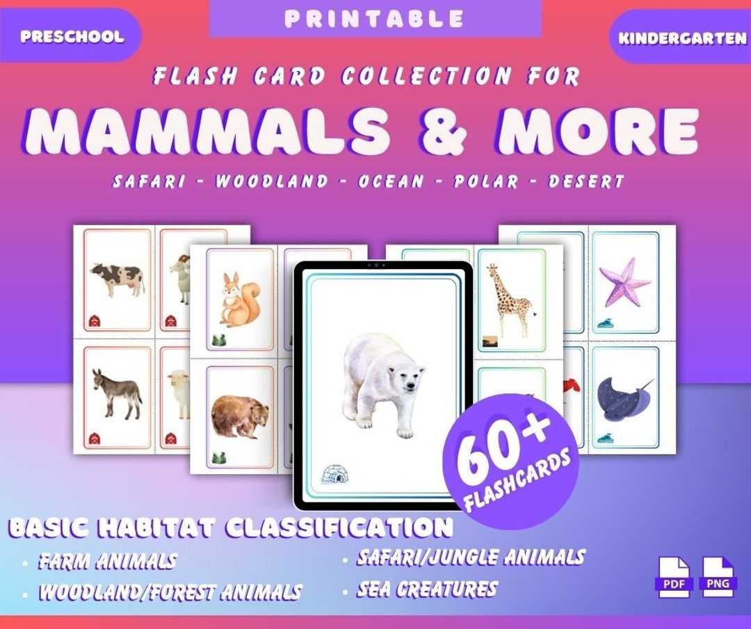 FLASHCARDS FOR KIDS | Animal Flashcards | Basic Animal Recognition ...