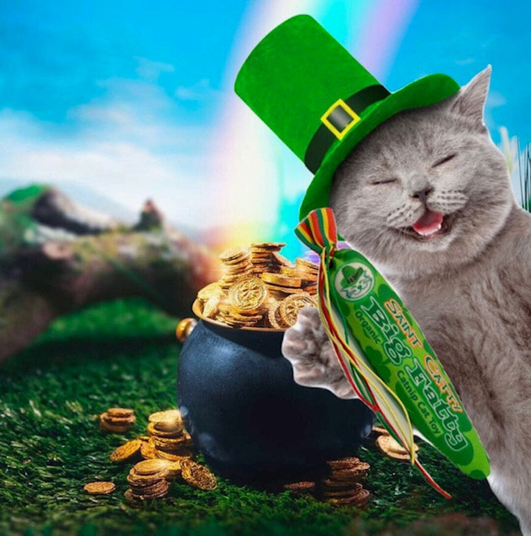 Cat Toy With Catnip Organic Catnip Blunt Toy All Natural - Etsy UK