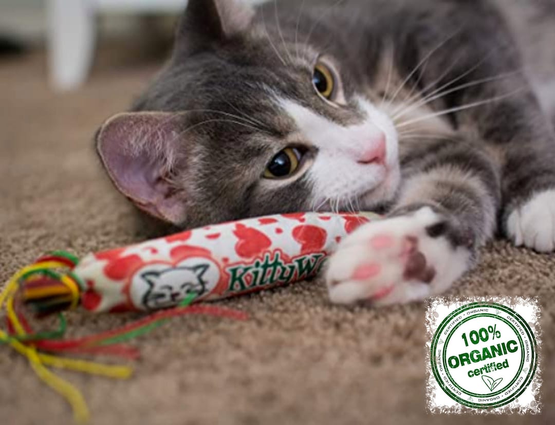 Cat Toy With Catnip Organic Catnip Blunt Toy All Natural - Etsy UK