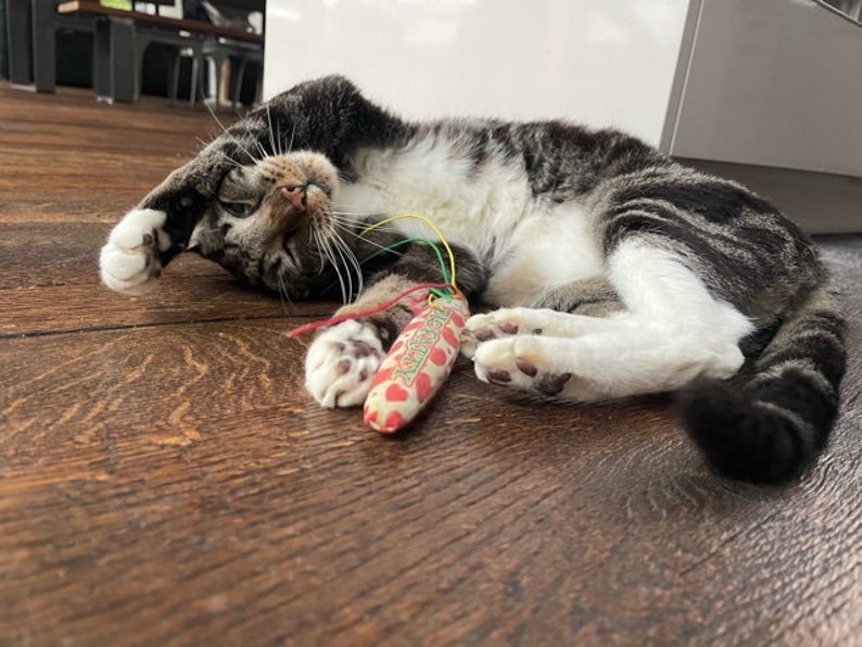 Cat Toy With Catnip Organic Catnip Blunt Toy All Natural - Etsy