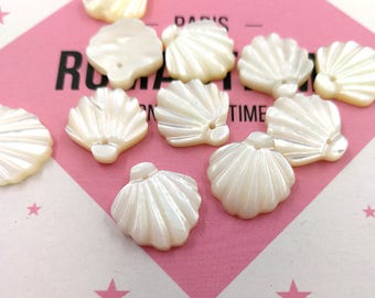 Clam shell beads | Etsy