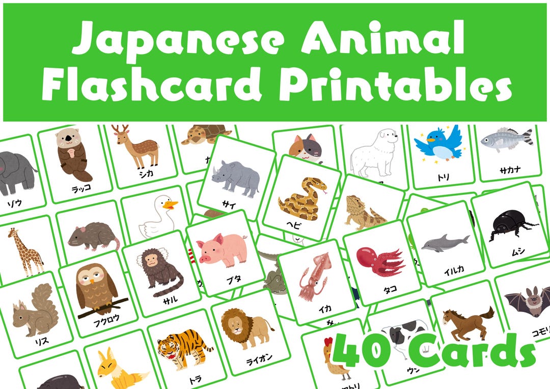 Learn Japanese Animal Names With Katakana | 40 Flashcards | Cute ...