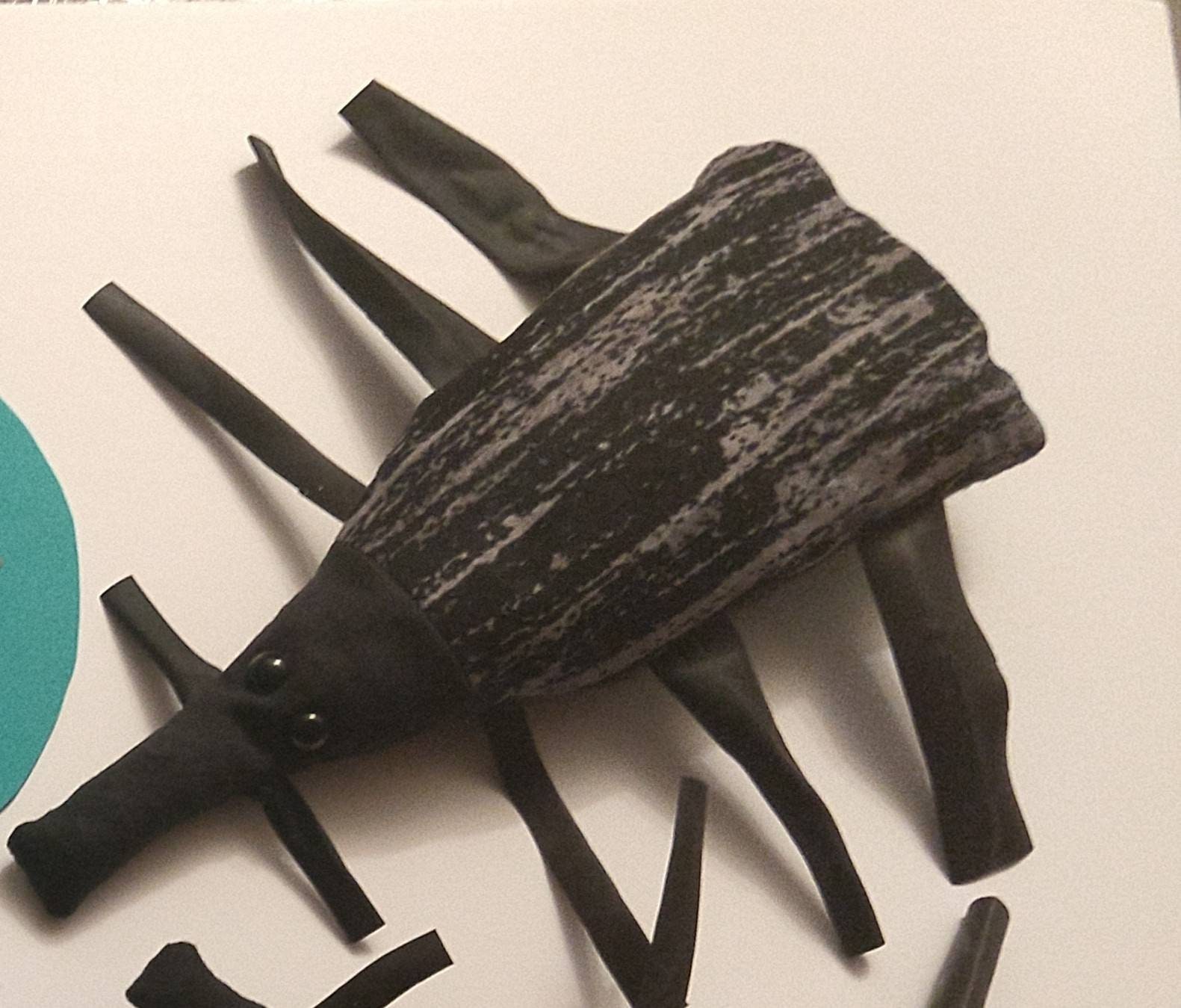 Boll Weevil Buddy - Etsy